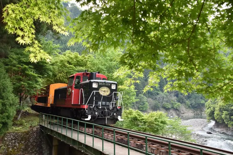 투어&티켓 | 투어비스 투어&티켓